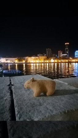 Перчик скучает по любимому Екатеринбургу