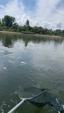 Ну вот и я отловился в этом году