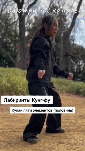 Лабиринты кунг-фу Кунг-фу Мэйкю Первая половина Синъи Усин Ляньхуацюань