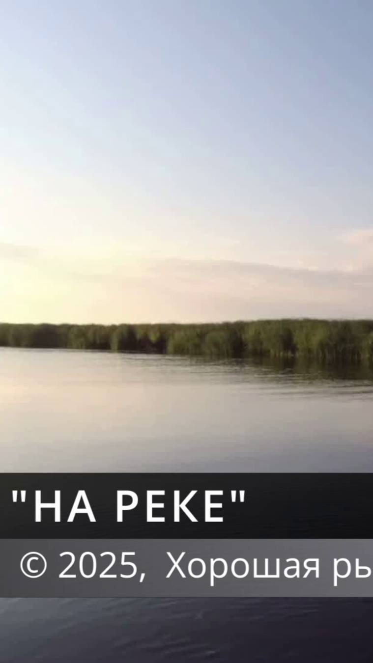 Такого вы ещё о рыбалке не слышали. На реке #Shorts