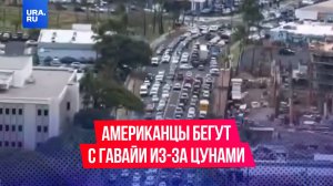 Американцы бегут с Гавайи из-за цунами, которые было вызвано мощным землетрясением на Камчатке