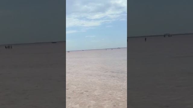 Розовое озеро, где добывают соль. Алтайский край.