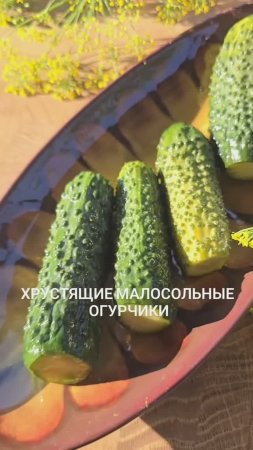 Хрустящие Малосольные Огурчики