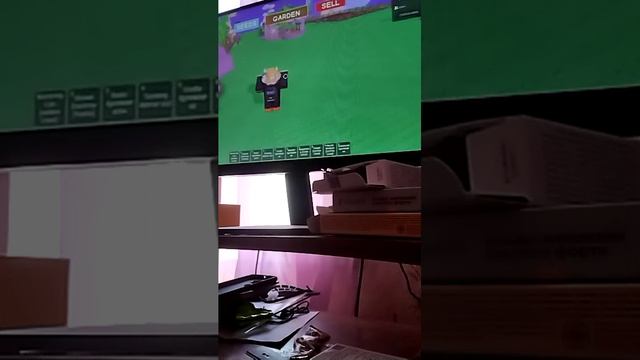 Играем в  ROBLOX