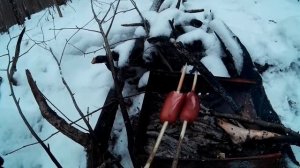 Выживание в глухом лесу, построил лесную избу!