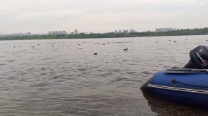 29.7.2025г Енисей лодка на берегу- виды с берега