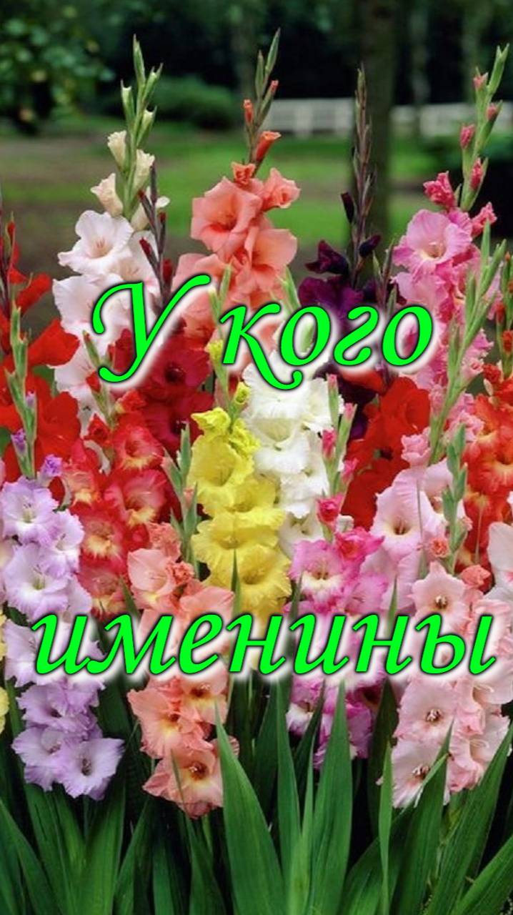 Кто сегодня именинник. У кого сегодня именины. 3 августа