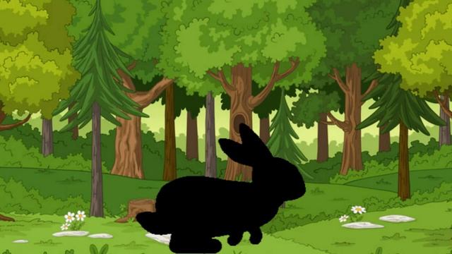 Forest_Animals_Animal_Shadow_Detectives!_Guess_the_Animal!