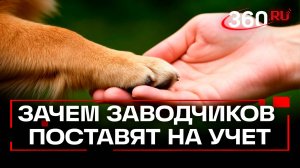 Кого внесут в единый реестр заводчиков и для чего это нужно - решение Госдумы
