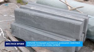 В Надыме строится круглогодичная площадка для выгула и дрессировки собак