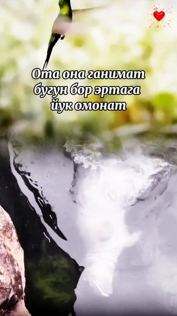 Тириклигида килмай калбин шод уганда кутардим фарëд