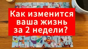 Как изменится ваша жизнь за 2 недели? Гадание пасьянс #tarot #таролог