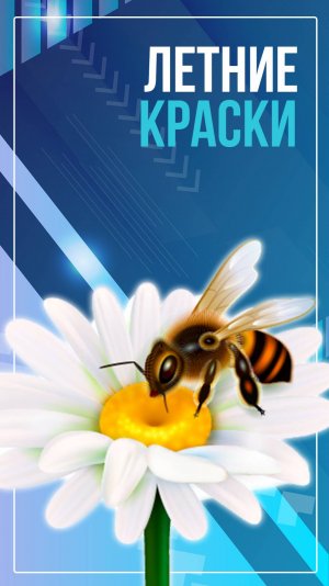 Летние краски