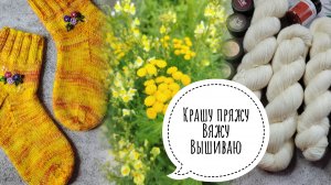 ВЛОГ☀️Крашу меринос/Первая вышивка/Процессы/Носочки букле☀️