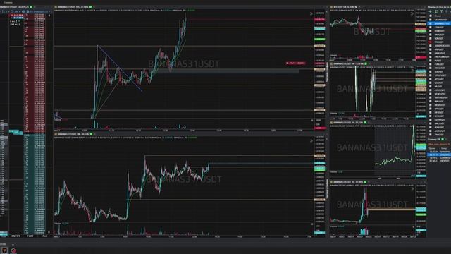 49-Bananas31usdt-Long-Profit-27-06-2025-12-36-03