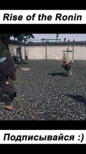 Как однажды подгорало в Rise of the Ronin