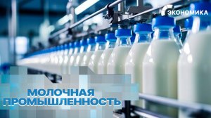 Производство молока в России выросло в первом полугодии 2025 года | Вместе выгодно