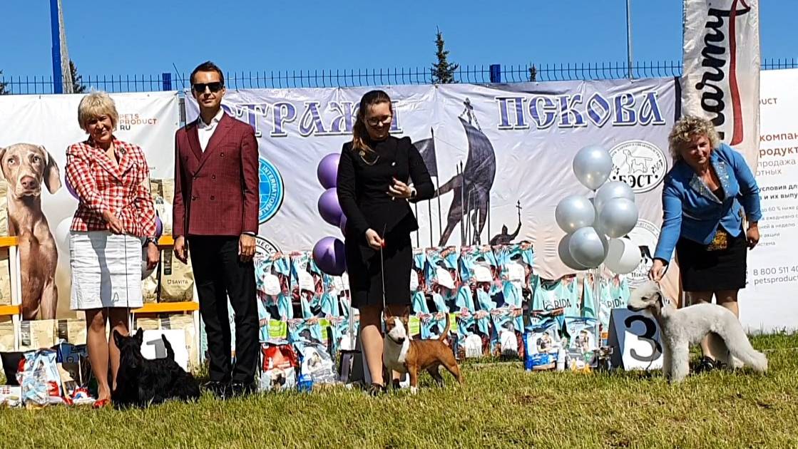 01.06.2025, Псков. Клуб КСиДС (РКФ, РФСС). Выставка собак САС 3 группы FCI