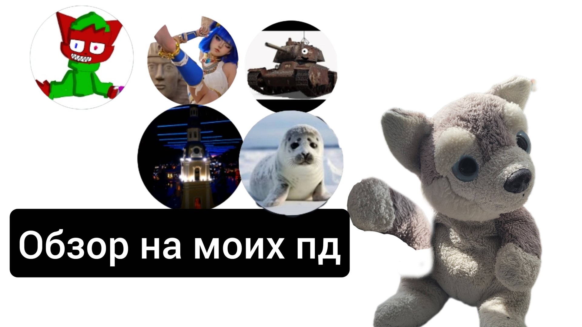 Обзор на моих подписчиков