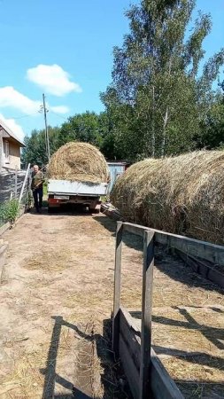 Сено