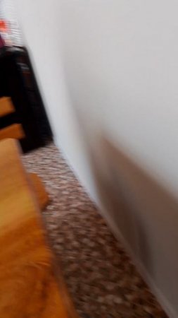 1000001233.mp4