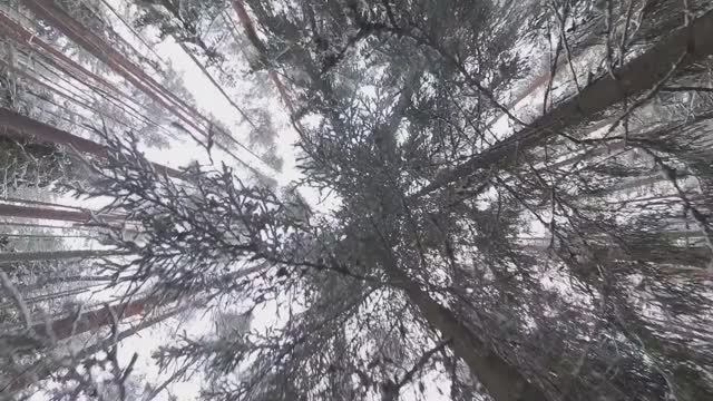 Карелия зимой, баня прорубь и легенда о Гром камне