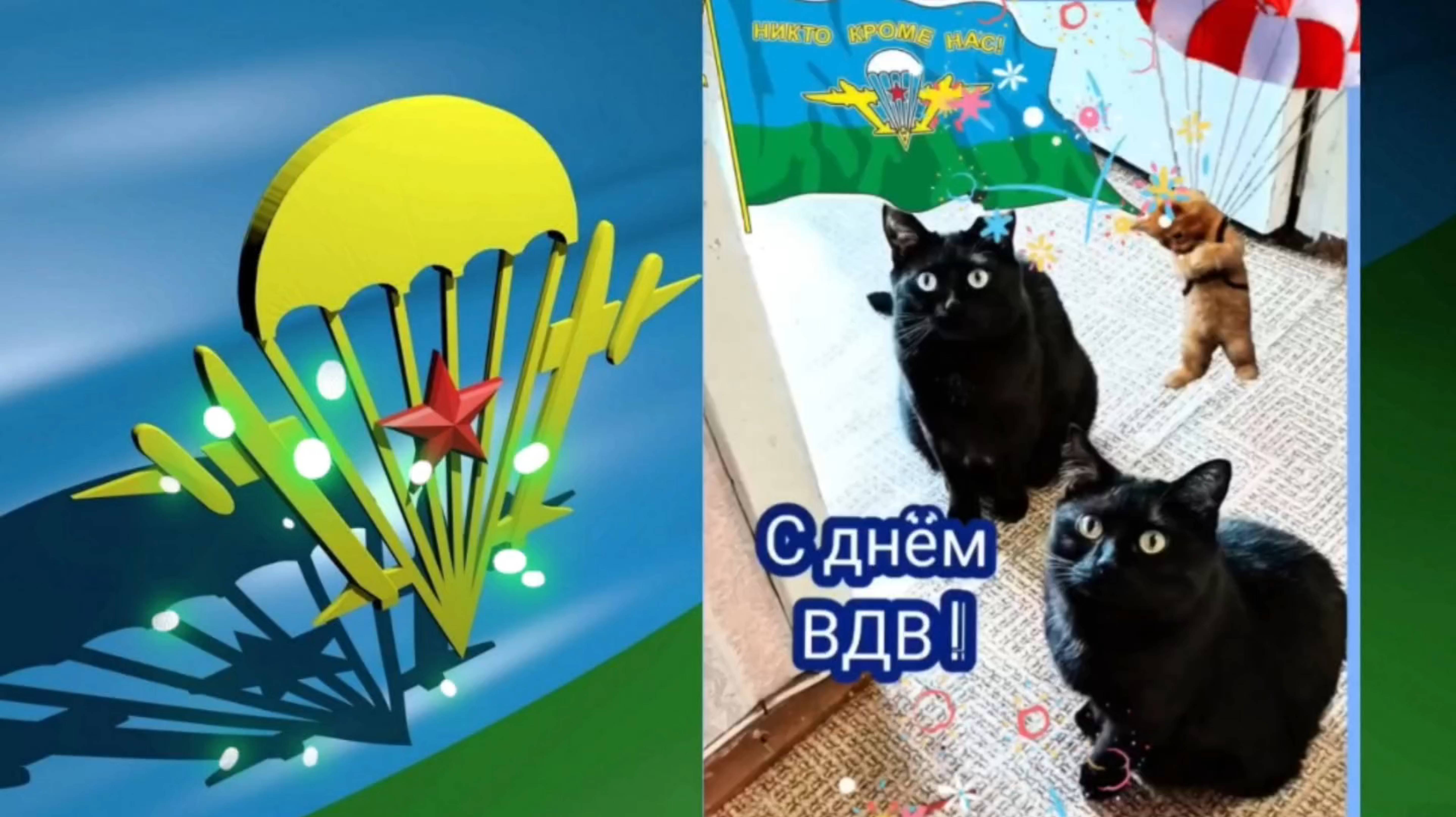 Поздравляем с днём ВДВ!