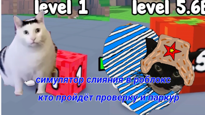 симулятор слияния проверка.