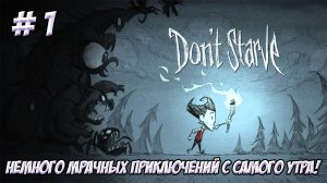 Don’t Starve. Часть 1. Немного мрачных приключений!!