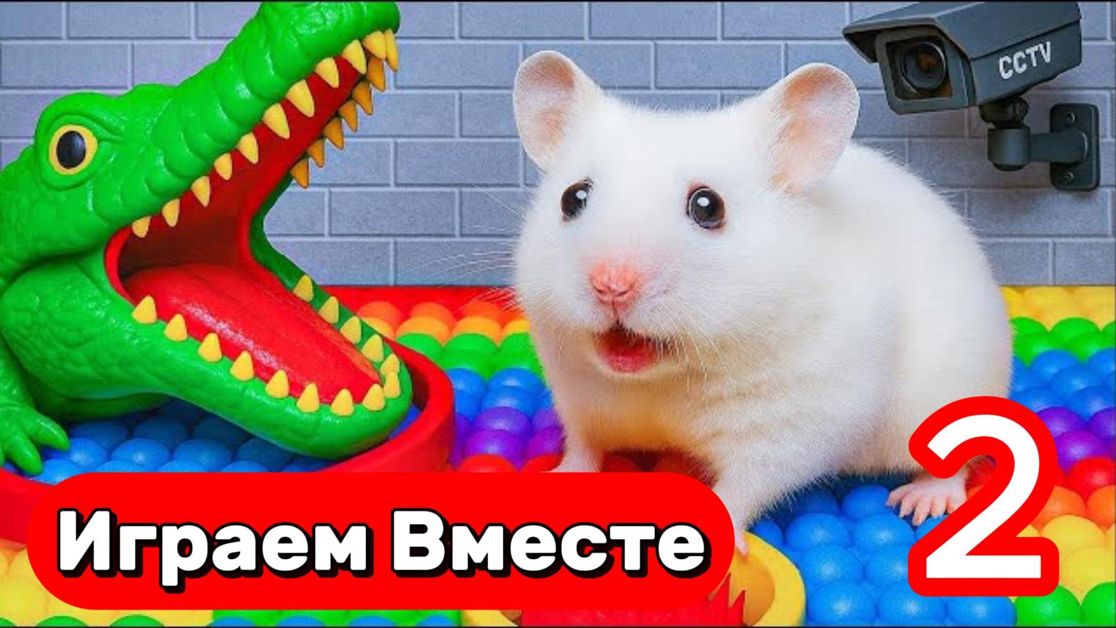 ЛАБИРИНТ С ЛОВУШКАМИ И КРОКОДИЛОМ ДЛЯ УМНОГО ХОМЯКА 🐹 ВЫБИРАЕМСЯ ЧЕРЕЗ ЛОВУШКИ ! ЧАСТЬ 2