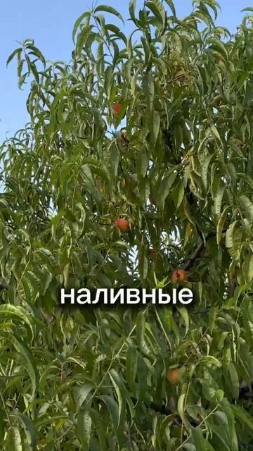 влог с выезда на объект заказчика.
