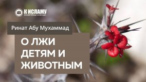 О лжи детям и животным — Ринат Абу Мухаммад