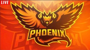 ГОУ ФЕНИКСА🐦🔥