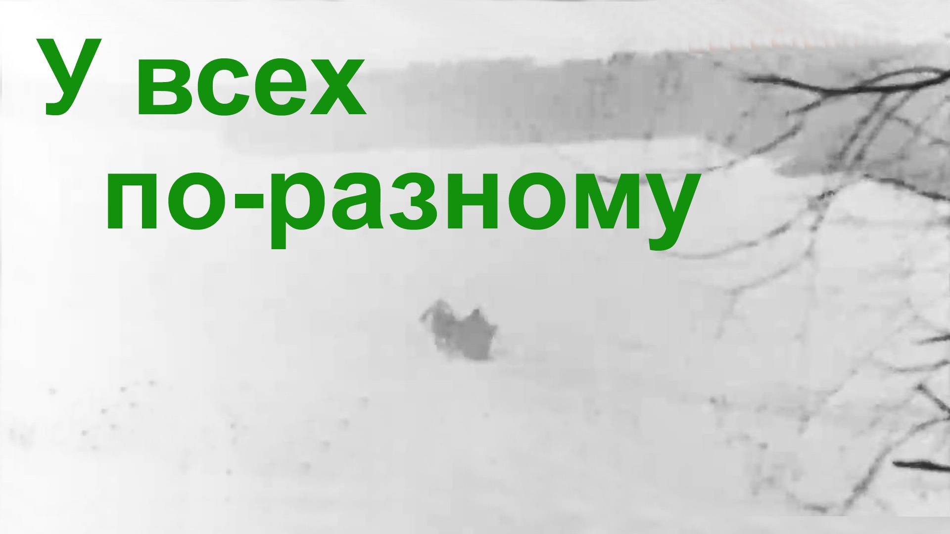 У всех по-разному.  Лариса Мóндрус