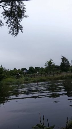 31-07-2025