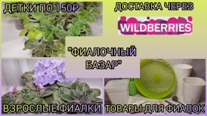 "Фиалочный базар".