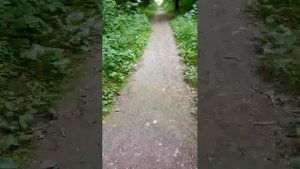 31-07-2025