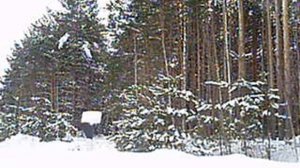 Обзор, Озеро Белое, Россия, 2006