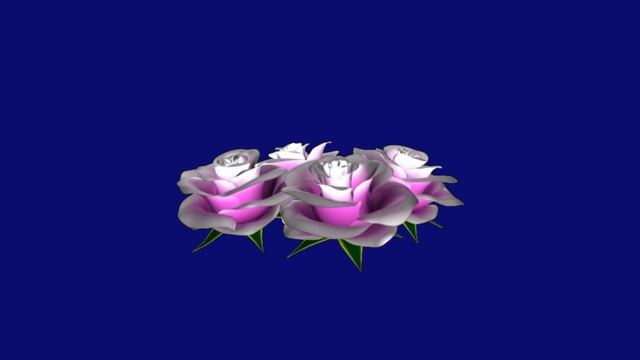 Кувшинки