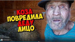 ДЕД ПРОДАЛ КОЗУ , НО ХОЧЕТ КУПИТЬ КОЗЛА