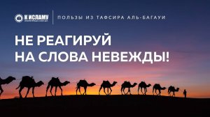 Не реагируй на слова невежды. Слова шейха Усеймина о такфире и оправдании по невежеству