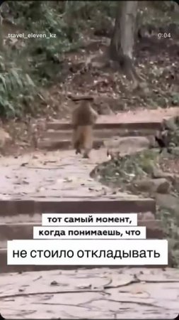 Не стоило откладывать