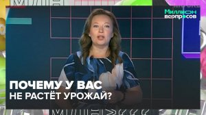 Как защитить огород в жаркую погоду?|Миллион вопросов — Москва 24|Контент