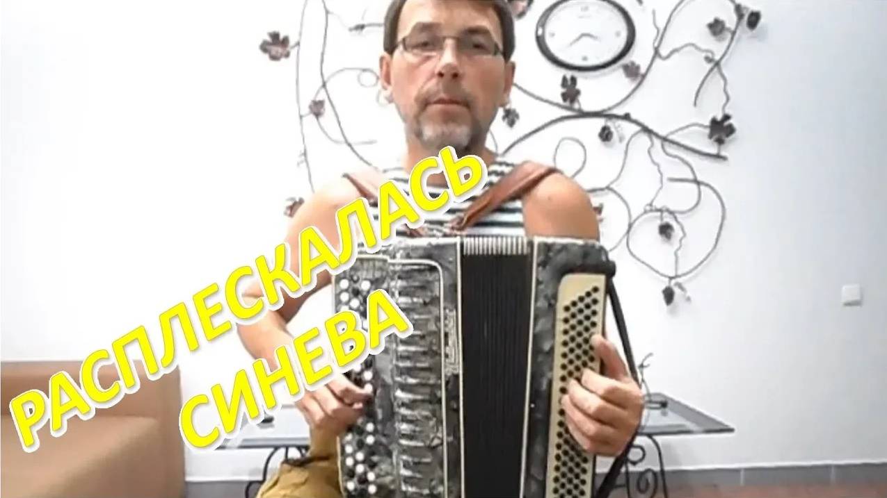Баян. Играет мой подписчик Станислав Дымов. Расплескалась синева.