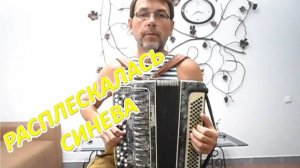 Баян. Играет мой подписчик Станислав Дымов. Расплескалась синева.