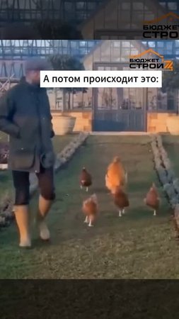 Для настроения