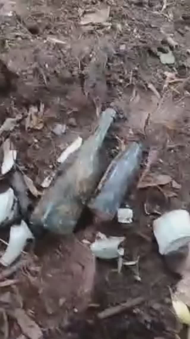 Копаю немецкую помойку, где стояли фрицы...