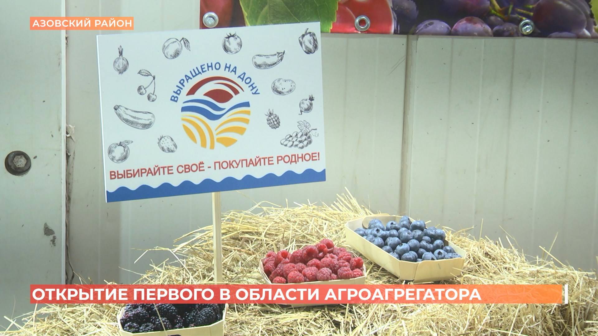 Первый Агроагрегатор открыт в Ростовской области