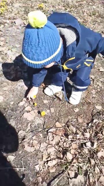 Cute #shortsvideo #fun #cute #funny #дети — смотреть короткие видео ...