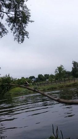 31-07-2025